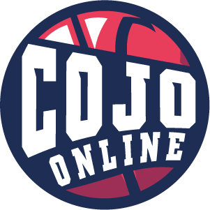 Cojo Online | Performanţă în web design şi marketing online